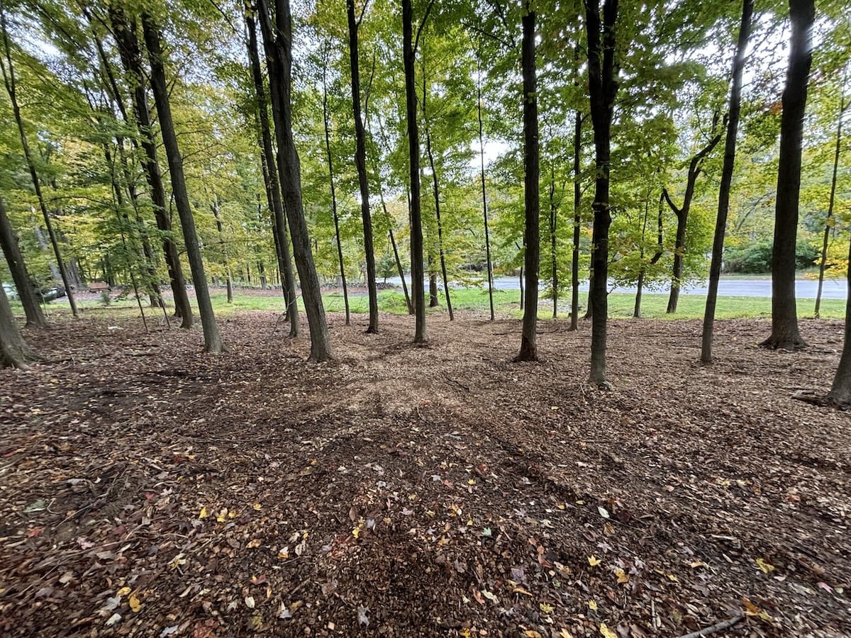 Hudson Valley NY Tree Removal Company | Miller Tree Operations LLC