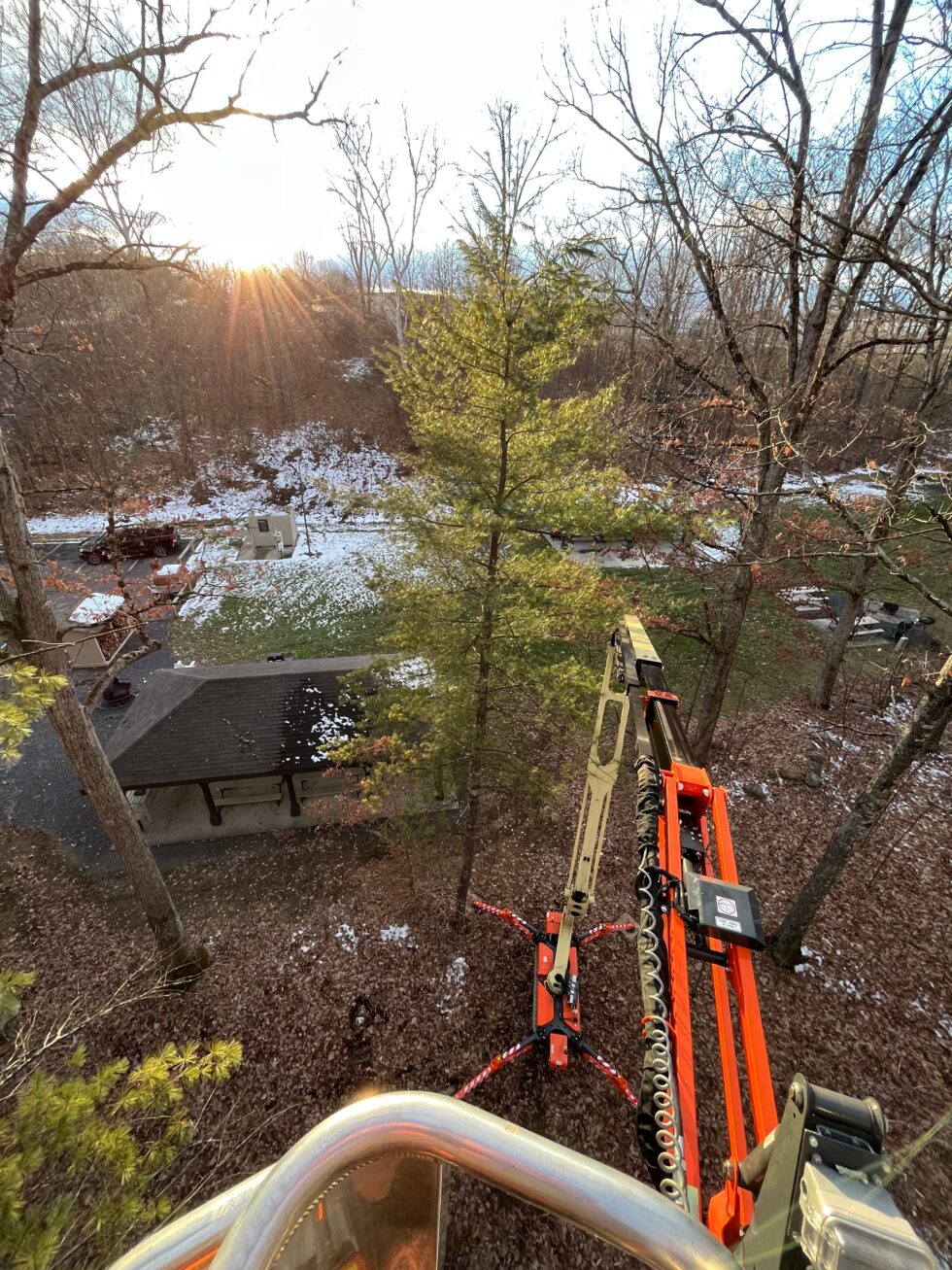 About - Miller Tree Operations